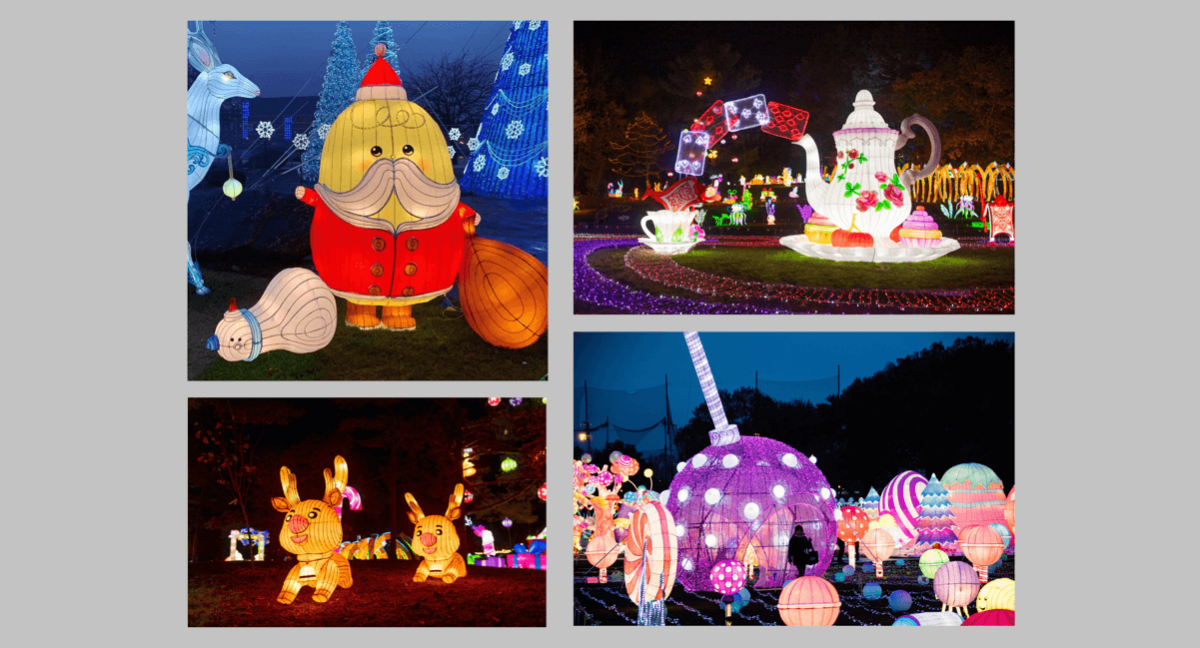 Festival LuminoCity brilla en el Eisenhower Park de Nassau – Noticia NY