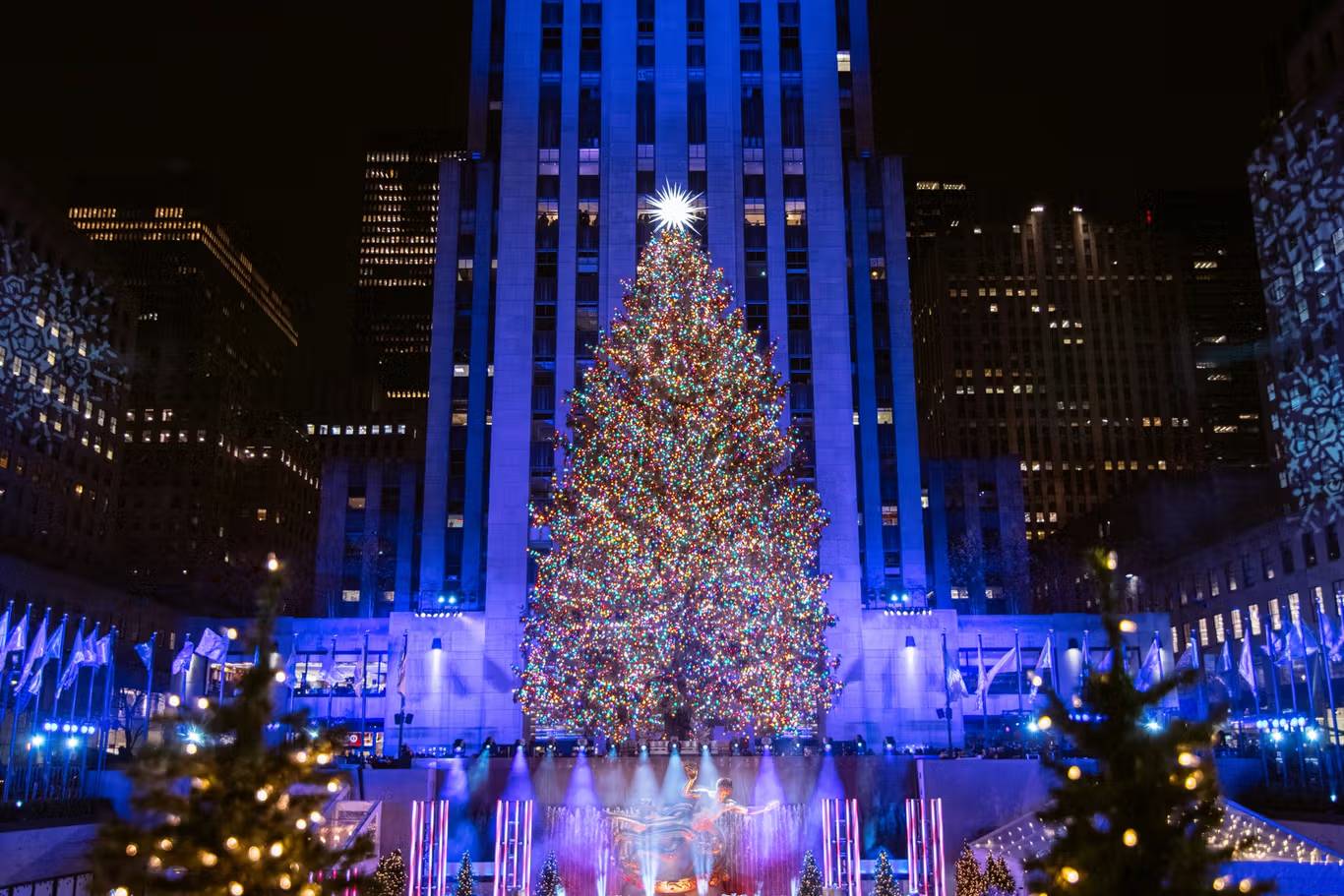 Los árboles navideños más icónicos de Nueva York irradian alegría ...